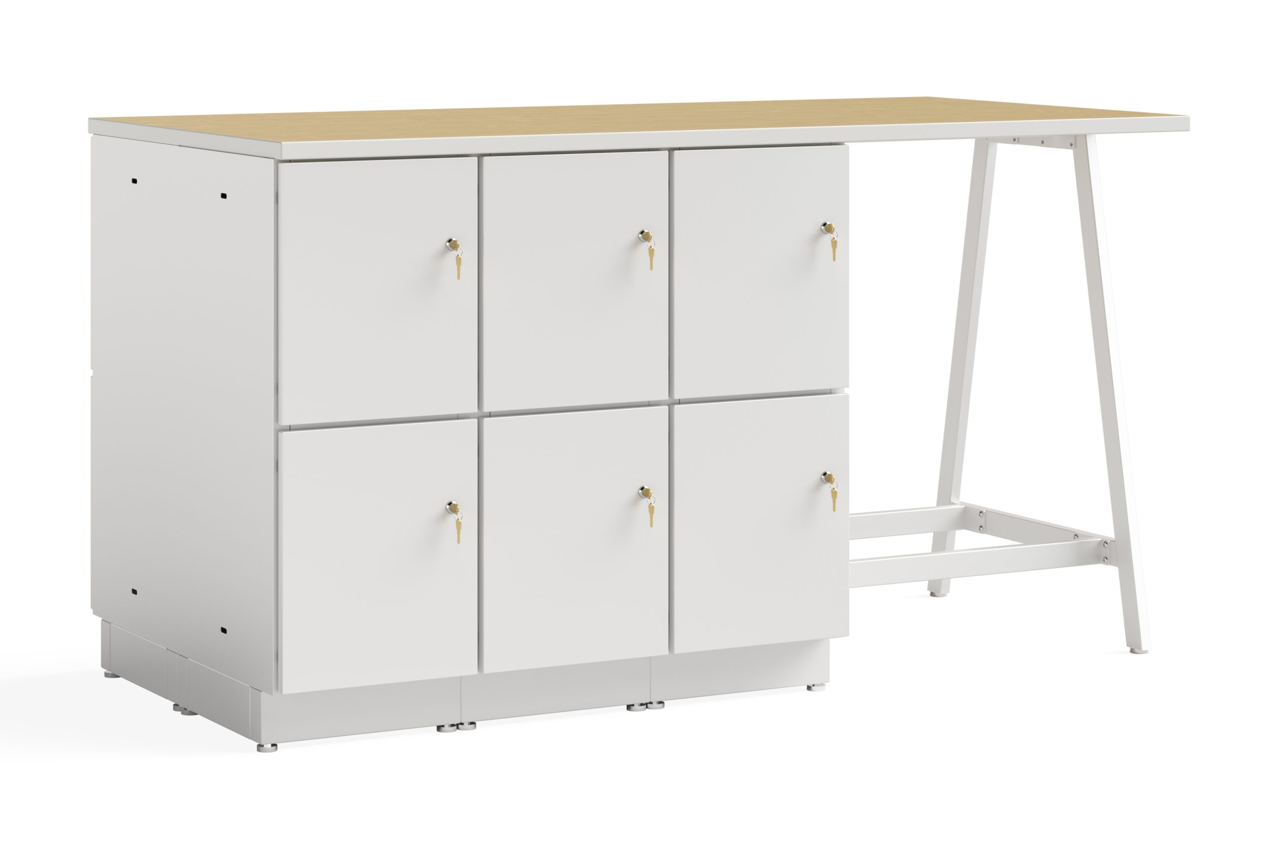 Integrated Storage Solutions - Onsemble Solutions